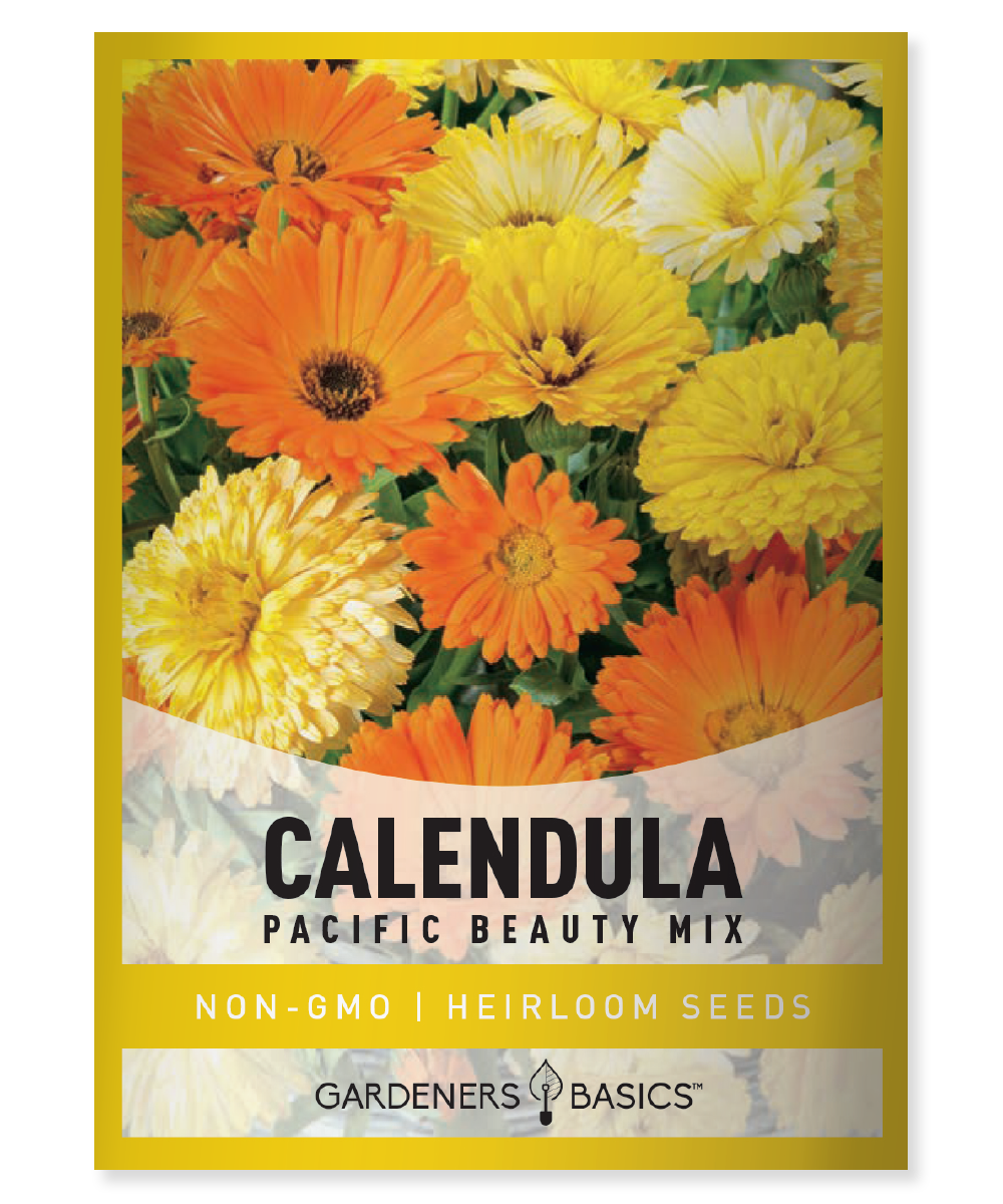 Calendula Pacific Beauty Mix Seeds for Sale - Blooms to Your Garden ...