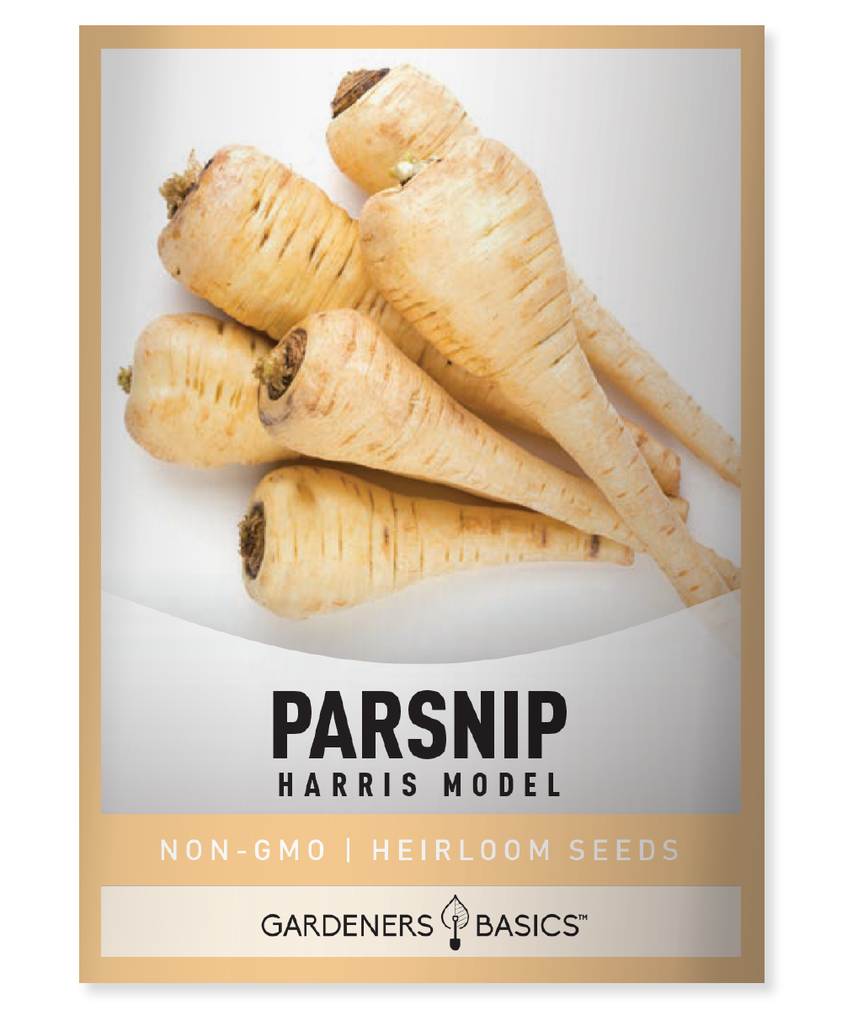 Harris Model Parsnip Seeds For Sale: Delicious & Nutritious Parsnips ...