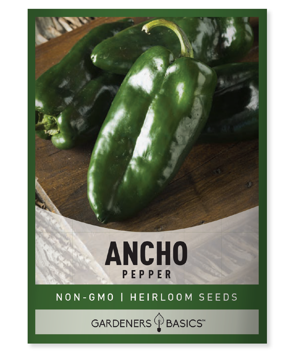 Ancho Poblano Pepper Seeds - Heirloom, Non-GMO Pepper Seeds – Gardeners ...