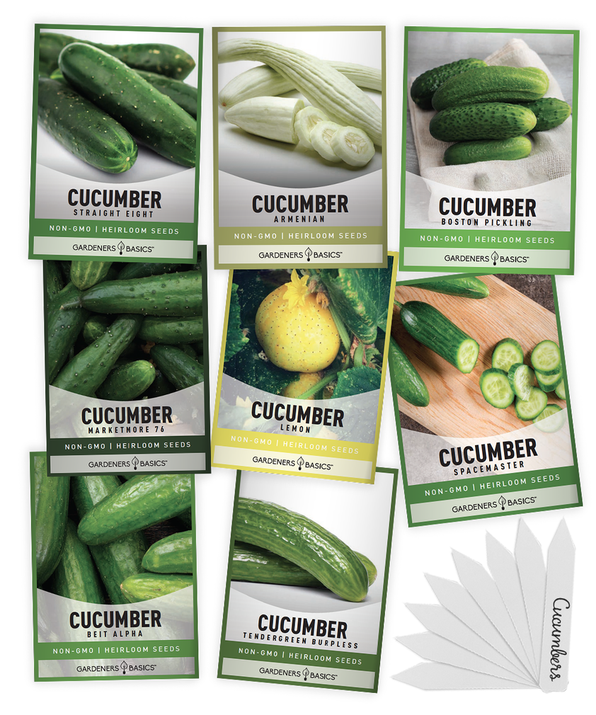 Heirloom Cucumber Seeds Pack: 8 Varieties for Sustainable Gardening ...
