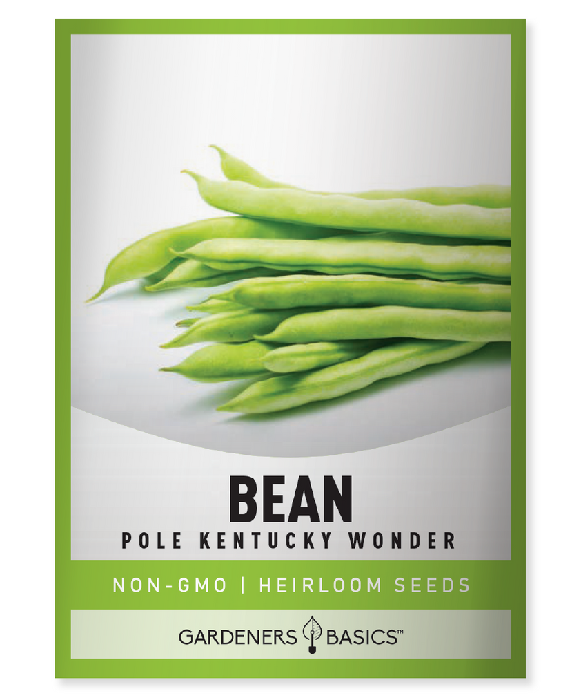 Kentucky Wonder Pole Bean Seeds - Grow Heirloom, Heirloom Green Beans ...