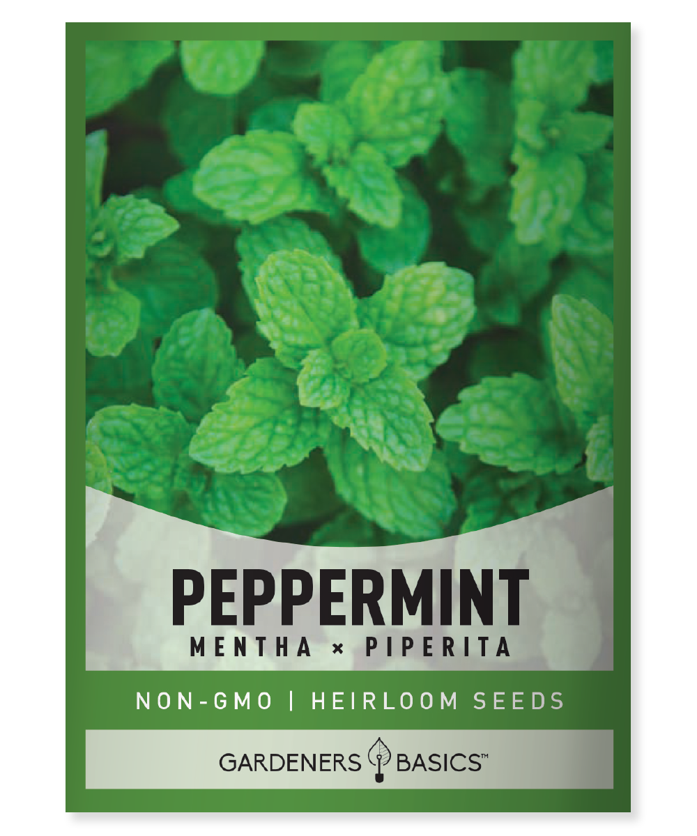 Heirloom Peppermint Seeds - Grow a Fragrant & Flavorful Herb Garden ...