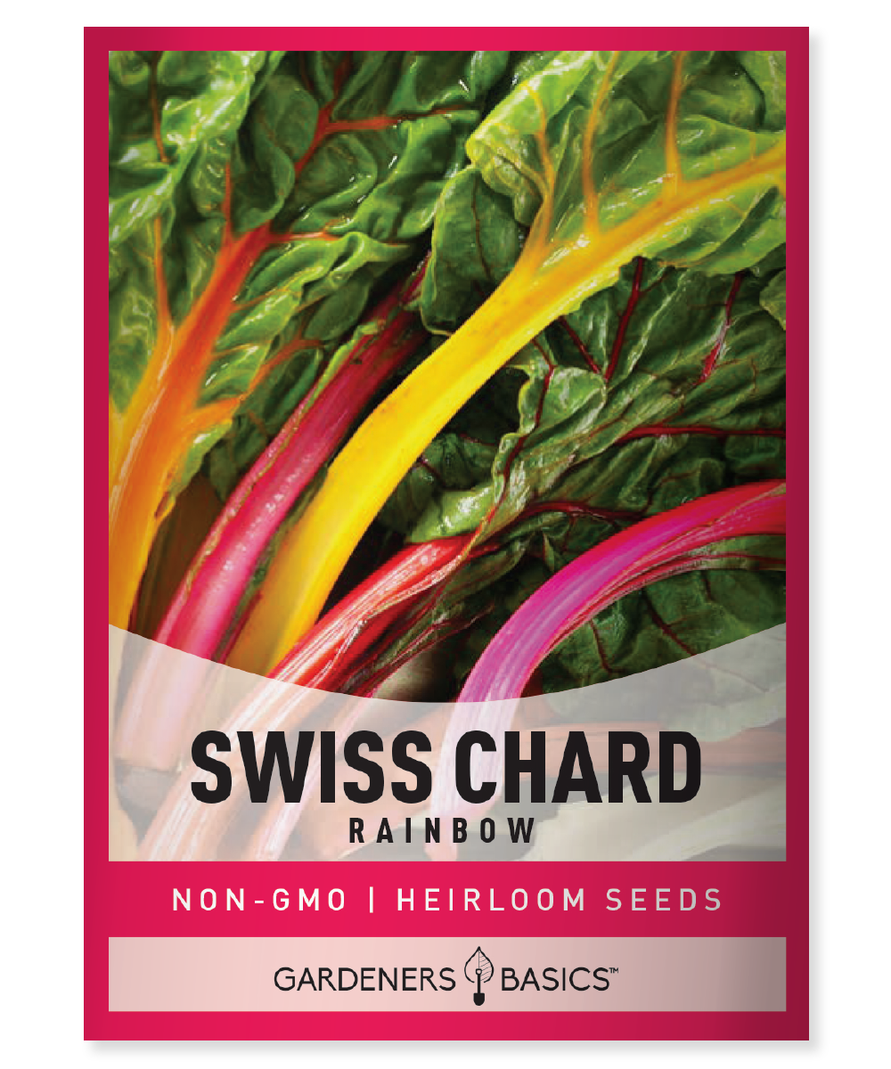 Premium Rainbow Swiss Chard Seeds for Planting: Perfect for Any Garden ...