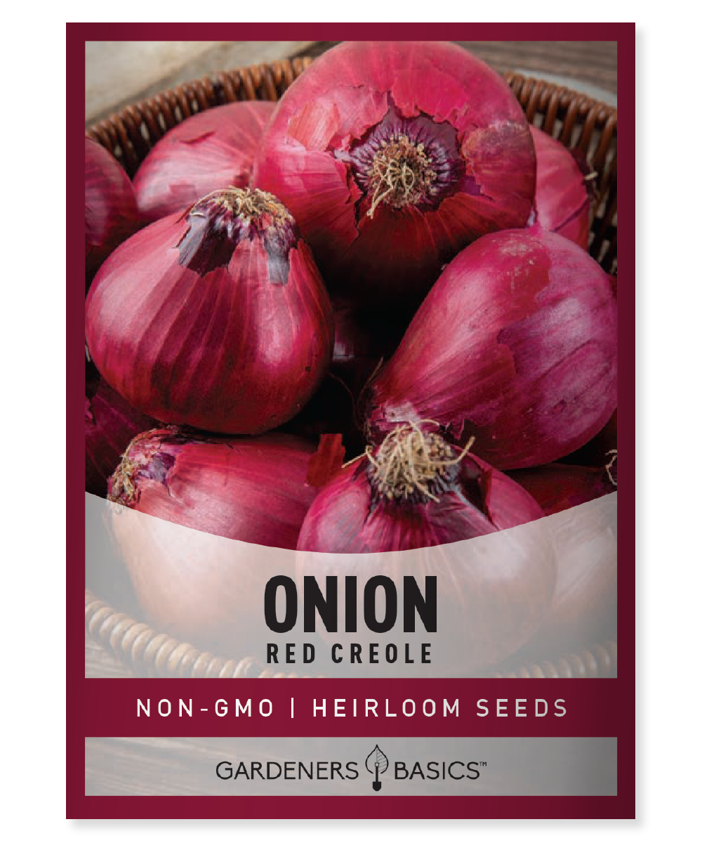 Red Creole Onion Seeds – Gardeners Basics