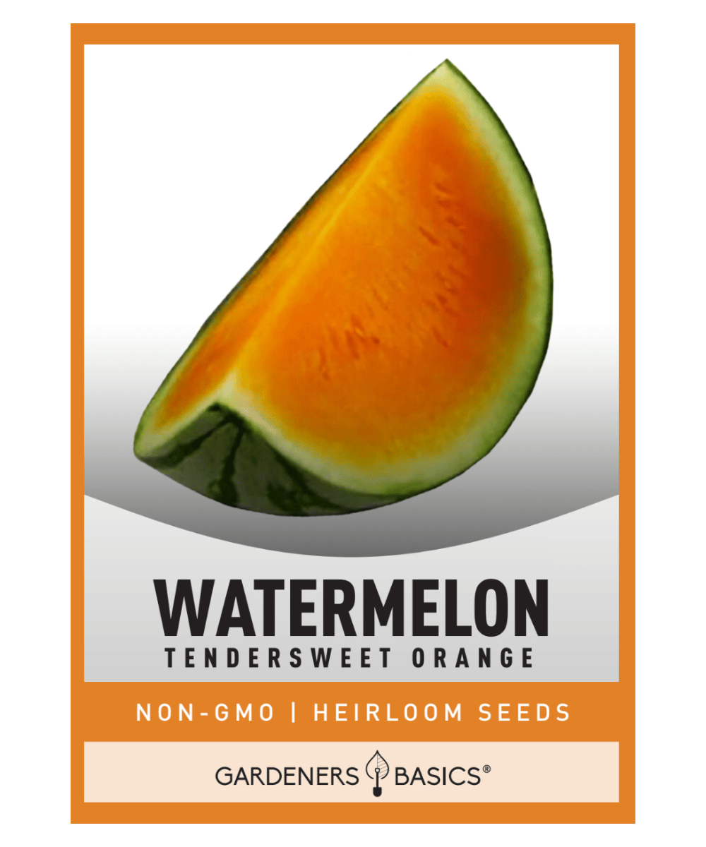 Tendersweet Orange Watermelon Seeds For Planting: Easy to Grow Variety ...