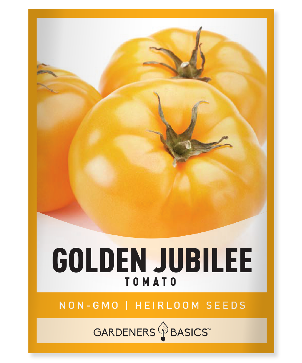 Golden Jubilee Tomato Seeds – Gardeners Basics