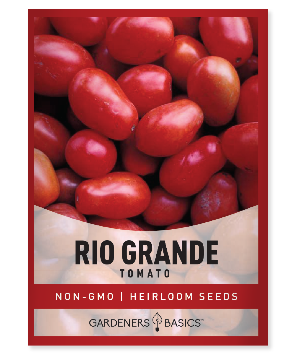 Rio Grande Tomato Seeds – Gardeners Basics
