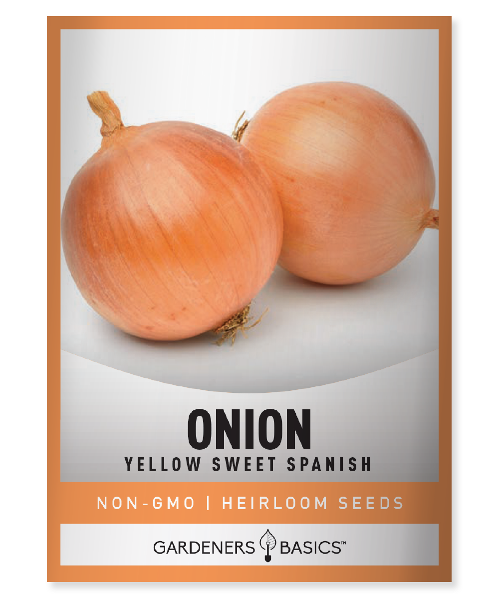 Yellow Sweet Spanish Onion Seeds – Gardeners Basics