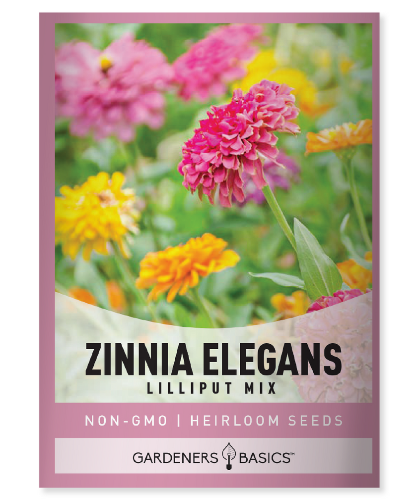 Zinnia Lilliput Mix Seeds For Planting In Your Cut Flower Garden ...